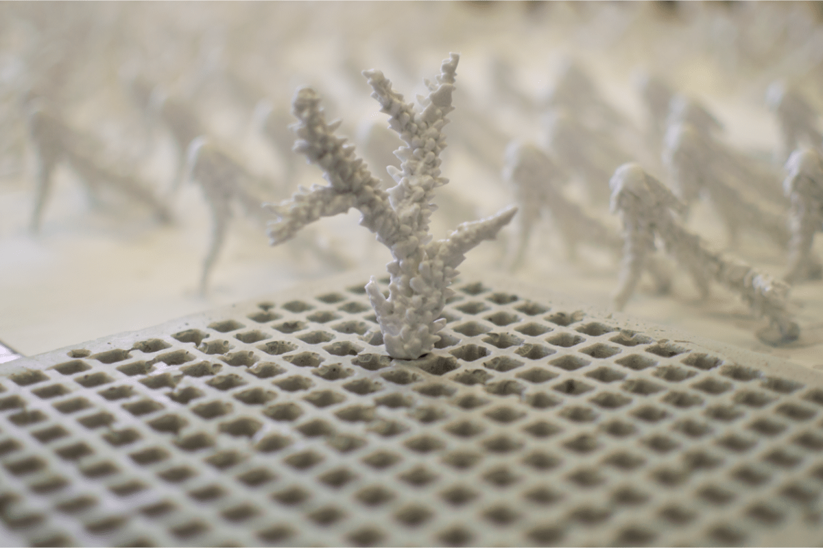 Making Coral Reefs With 3D Printers! The Answer To Saving Coral Reefs?