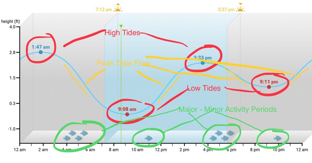 18 Fishing Tips That Will Make You A Better Inshore Fisherman