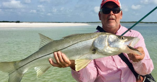 How To Fish Beach Points For Trout, Snook, Jacks, & Sharks
