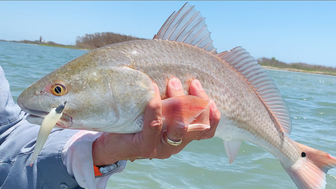 Wading For Redfish: Best Tactics, Tackle, & Tips (With Wader Dave)