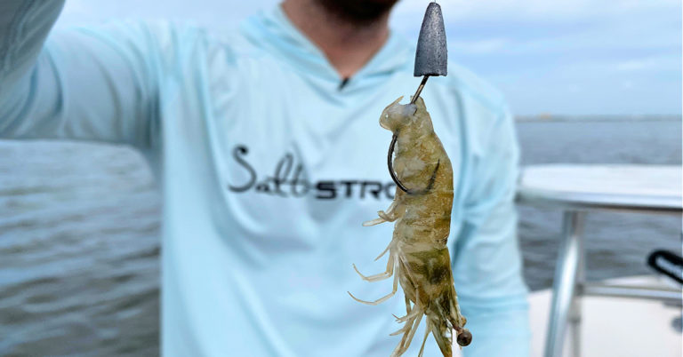 How To Fish The Weedless Shrimp Rig Around Docks (LIVE Fishing Trip)
