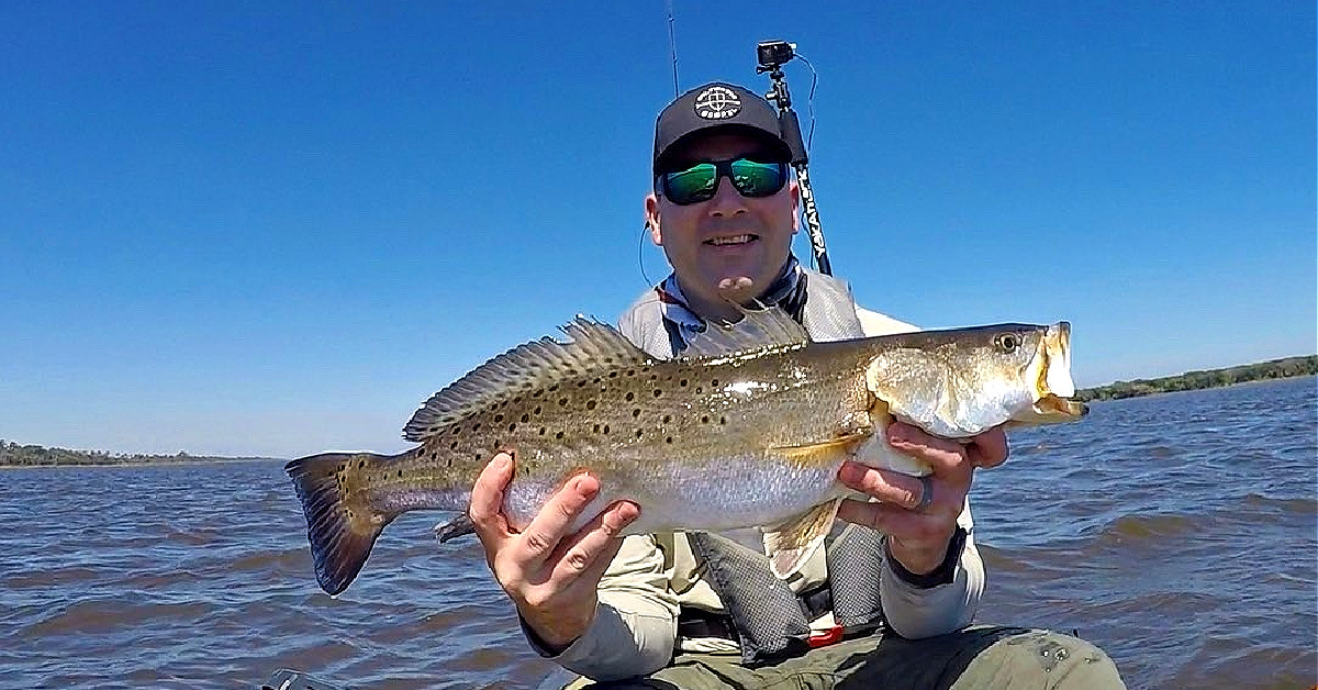 Weighted Hooks, Shrimp Lures, Live Bait Rigs (Salt Strong Newsletter)