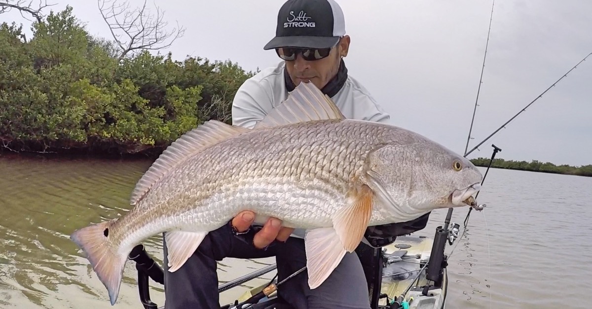 Where To Find Predator Fish In A Large Baitfish School (90-10 Rule)