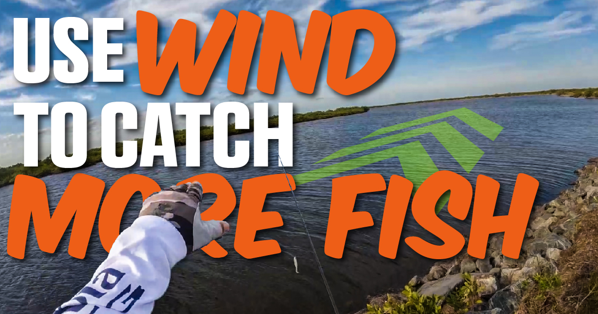 3 Shocking Ways Wind Can Actually HELP Shore Fishing