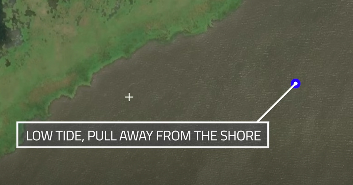 Missing the Bite? Mastering Tides for Inshore Fishing Success