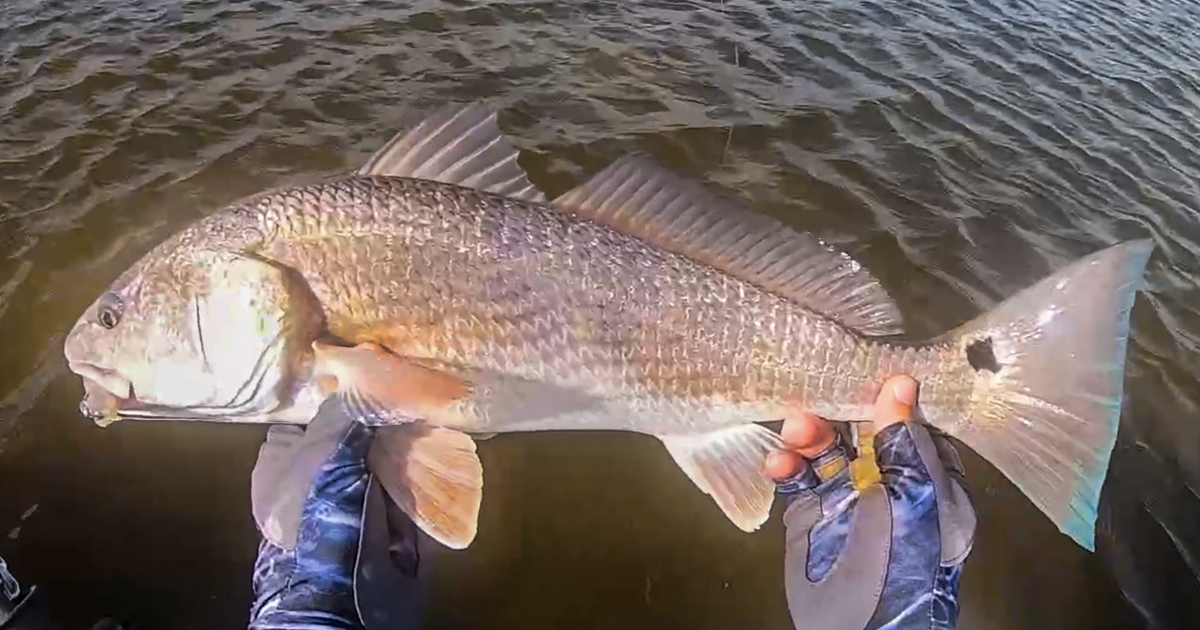 The #1 Rule for Sight Casting Success