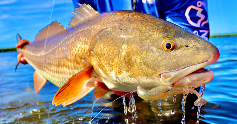 Everything You Need To Know About Barometric Pressure